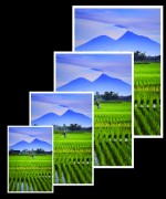 How Important are Megapixels in a Digital Camera? | Photography tips ...