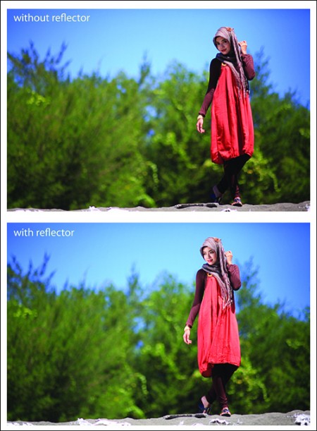 Reflectors in Photography: Their Function and Various Types ...